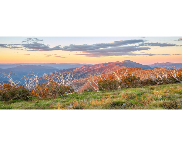 Summer Razorback. Mount Feathertop Sunset. Wall Art Print.