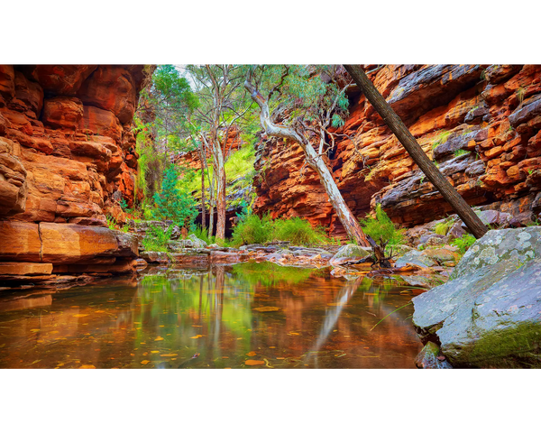 Waterways Wall Art Prints.