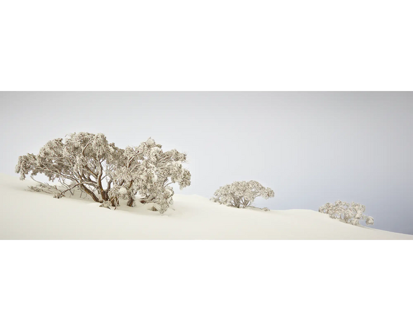 Braving The Elements (Winter). Mt Hotham - Alpine NP. Acrylic Block.