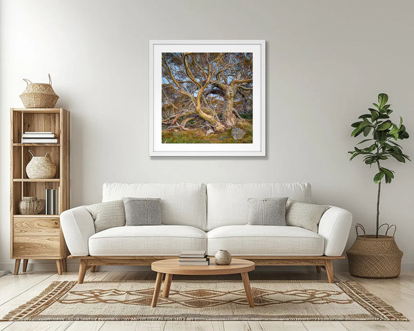 Elder. Snow Gum - Kosciuszko National Park. Australian Wall Art.