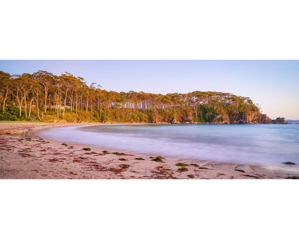 Gone to Lilli Pilli. Dawn at Lilli Pilli Beach. Wall Art Print.