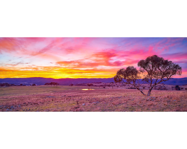 Googong Rising. Googong Township Sunrise. Wall Art Print.