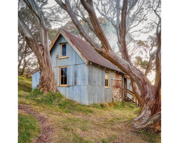 High Country Life. Cope Hut - Bogong High Plains. Acrylic Block.