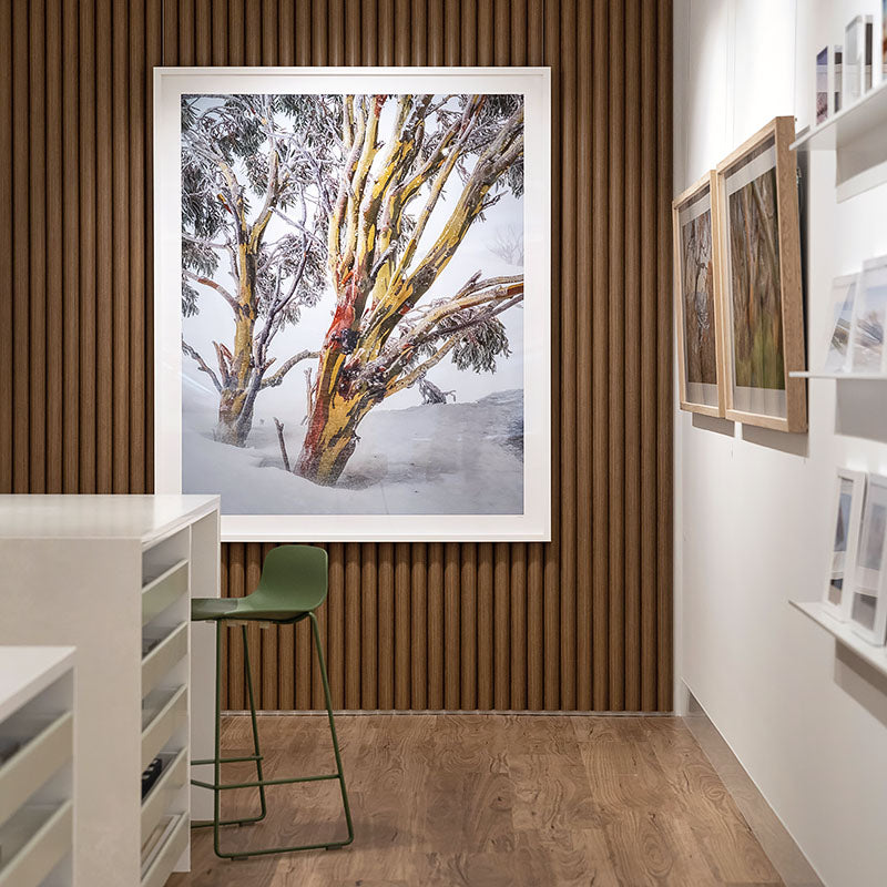 SCOTT LEGGO GALLERY. Photography art gallery in Canberra