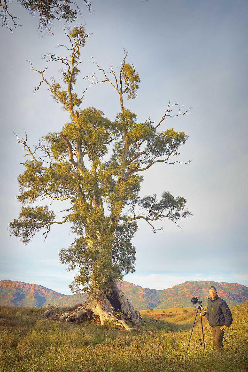 About Us. The SCOTT LEGGO Business.