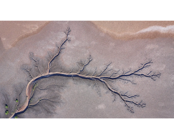 Sprawl. King River The Kimberley. Abstract Wall Art Print.