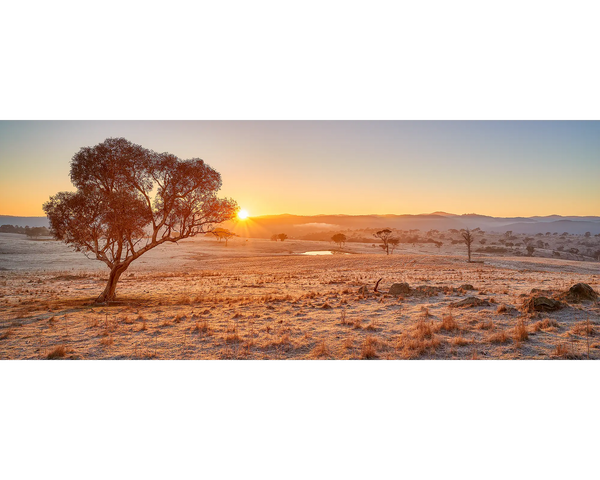 Touching The Sun. Googong sunrise. Wall Art Print.