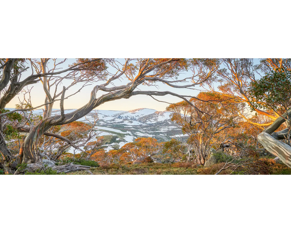 Twynam's View. Mount Twynam, Kosciuszko National Park. Wall Art Print.
