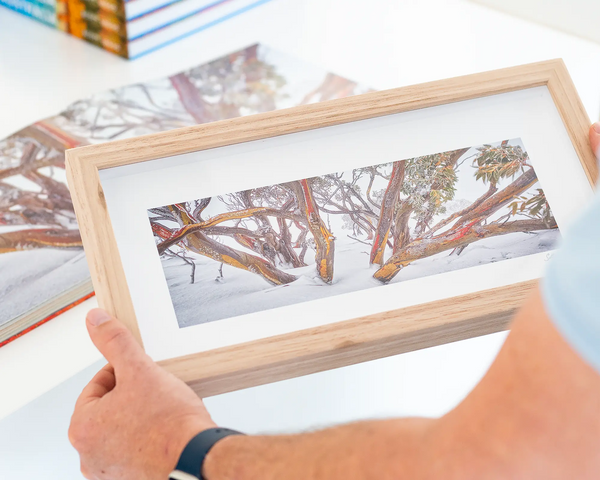 Wild. Snow Gum In Snow Mount Hotham. Wall Art Print.